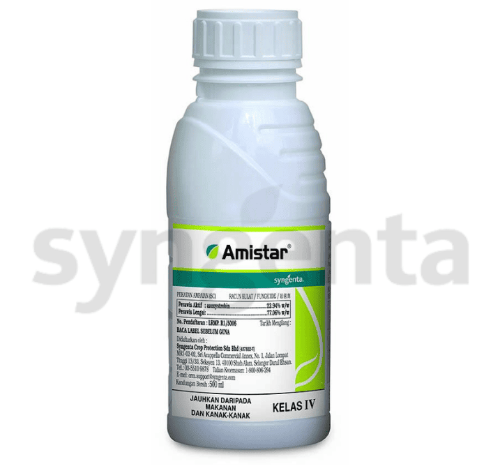 Amistar - Fungicide | Syngenta Malaysia
